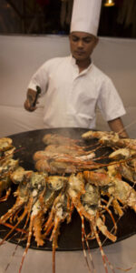 Homepage – Zeebop by the sea